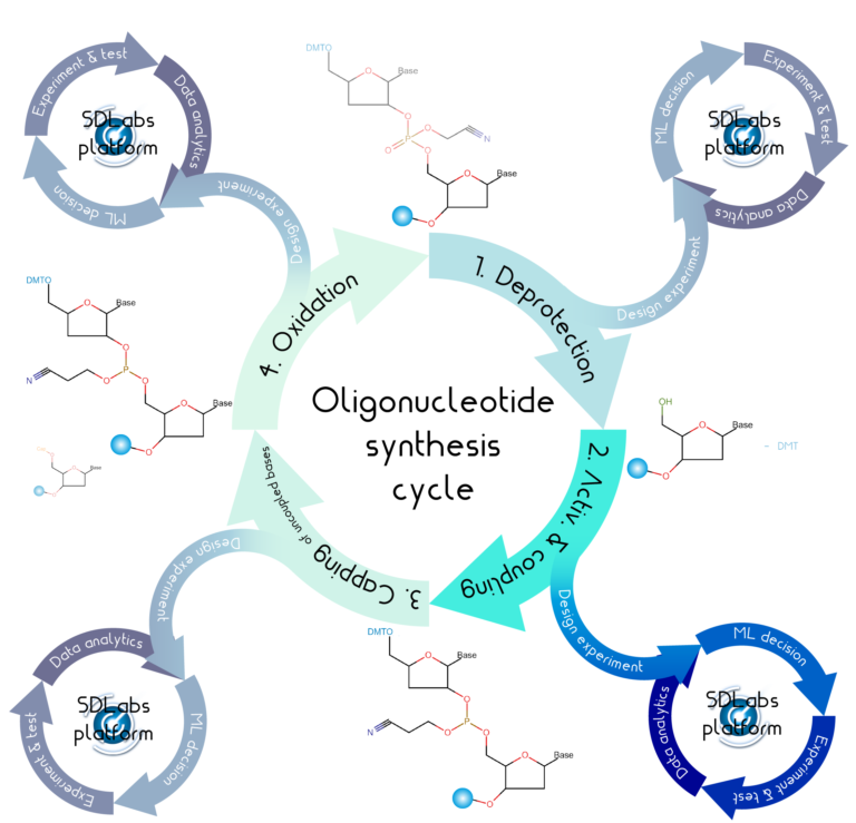 Maximizing yield and minimizing cost in oligonucleotide synthesis with Snapdragon Chemistry ...